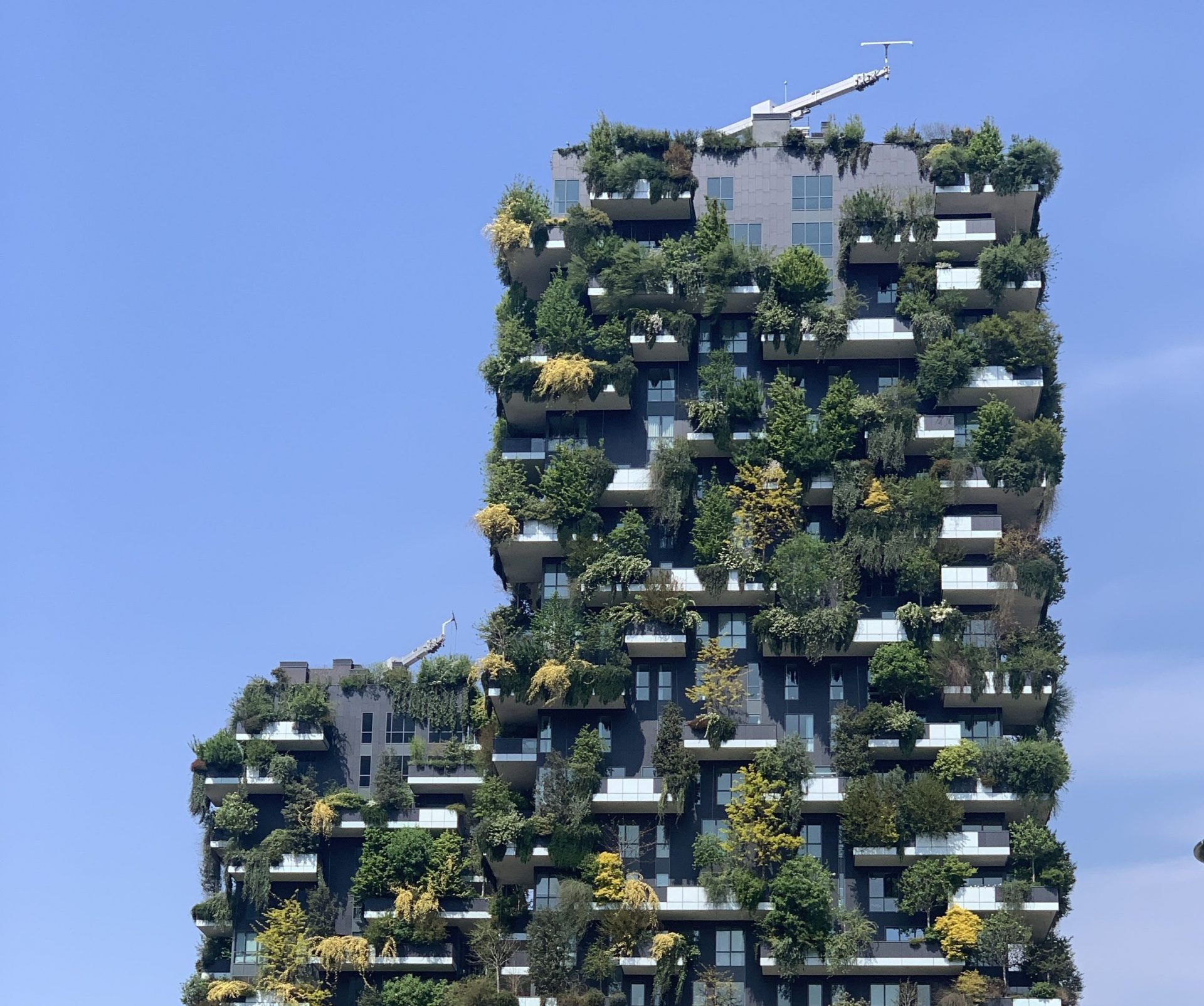 High-rise Forests - Reinventing Home
